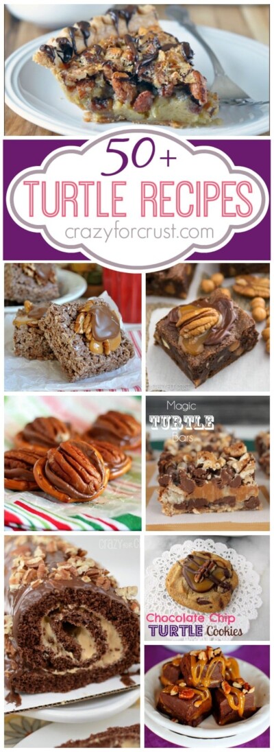 Over 50 Turtle Recipes - Crazy for Crust