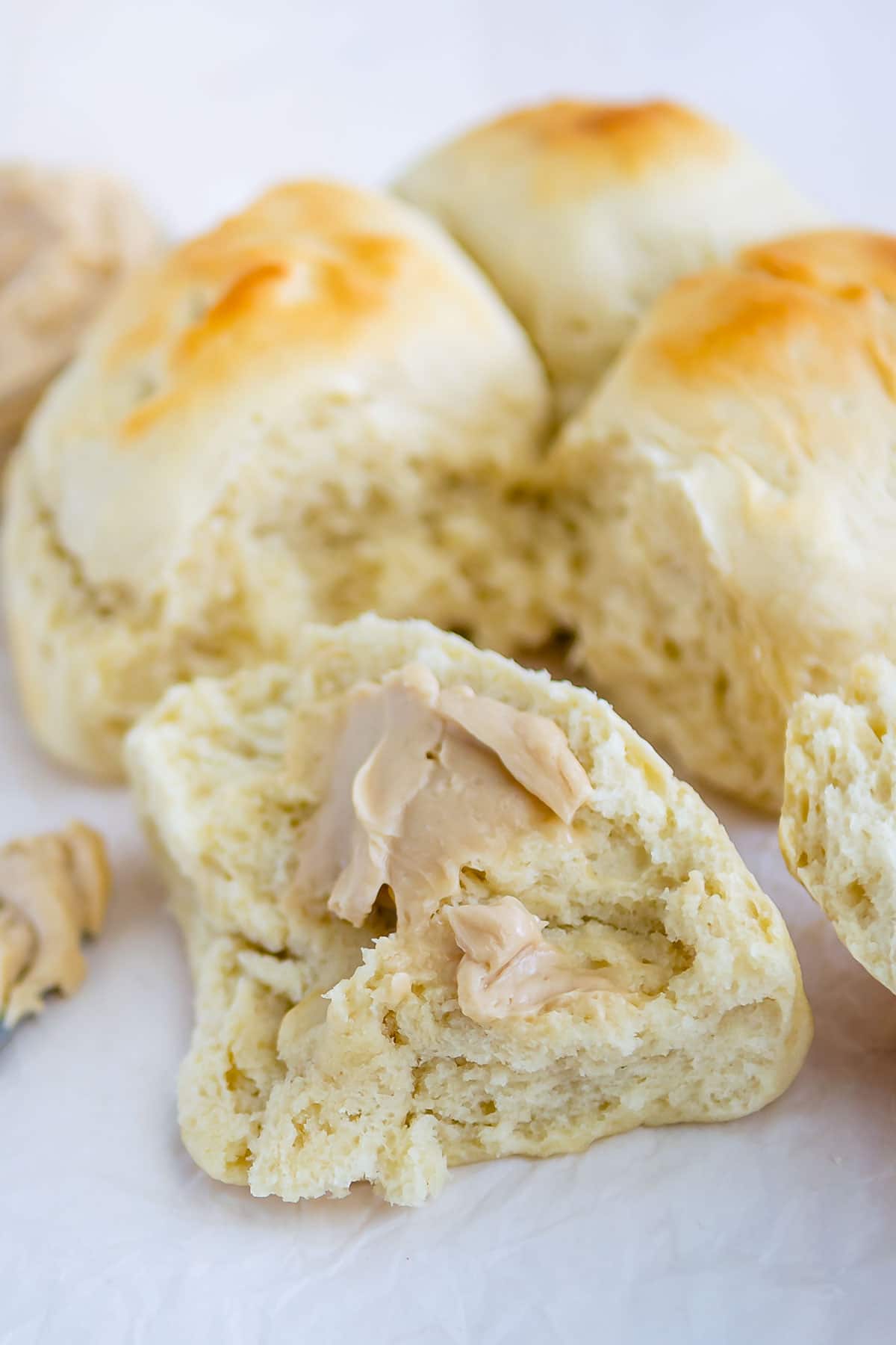 Small Batch Dinner Rolls (45 minute) - Crazy for Crust