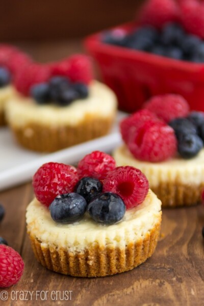 Mini Fruit Tart Cheesecakes - Crazy for Crust