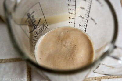 Amish Friendship Bread - Crazy for Crust