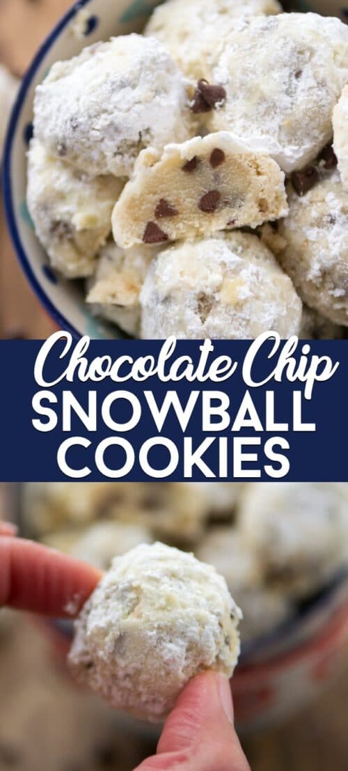 Chocolate Chip Snowball Cookies - Crazy for Crust