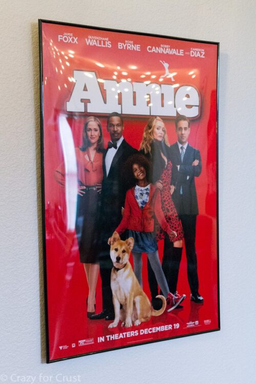 2014 Annie Movie Birthday Party Ideas - Crazy for Crust
