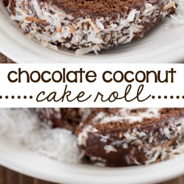 Chocolate Coconut Cake Roll - Crazy for Crust