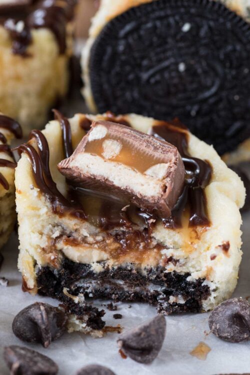 Mini Snickers Cheesecakes - Crazy for Crust