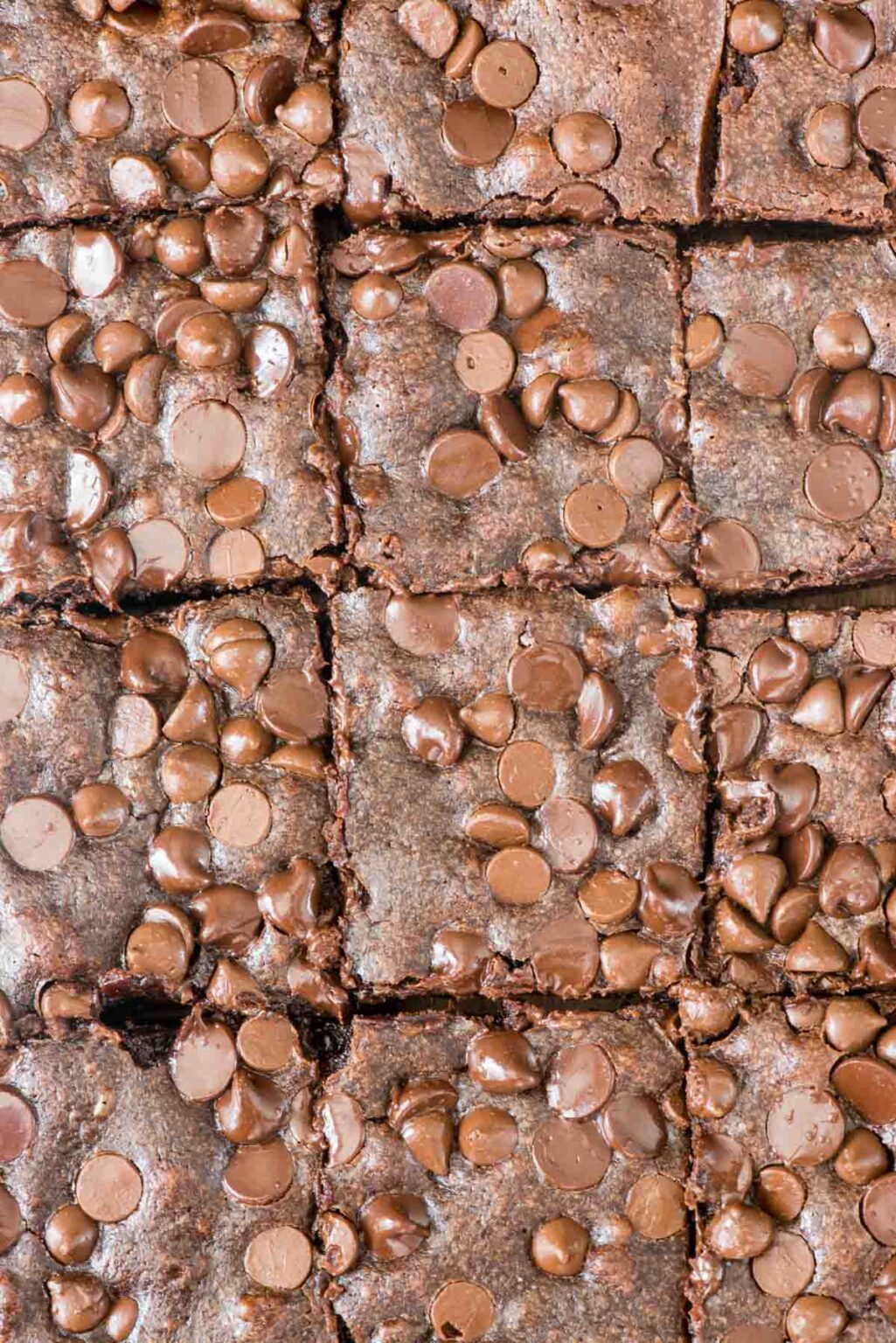 PERFECTLY Fudgy One Bowl Brownies - Crazy for Crust