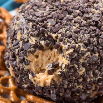 Peanut Butter Cheese Ball Dip - Crazy for Crust