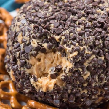 Peanut Butter Cheese Ball Dip - Crazy for Crust