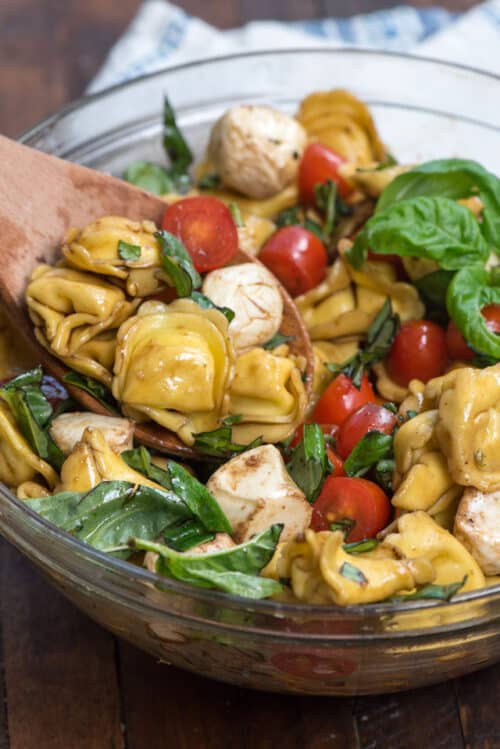 Tortellini Caprese Pasta Salad - Crazy for Crust