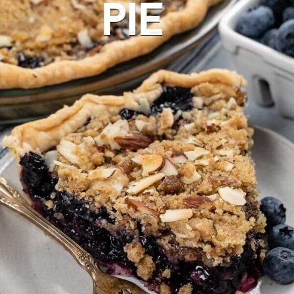 BEST Homemade Blueberry Pie Filling Recipe - Crazy for Crust