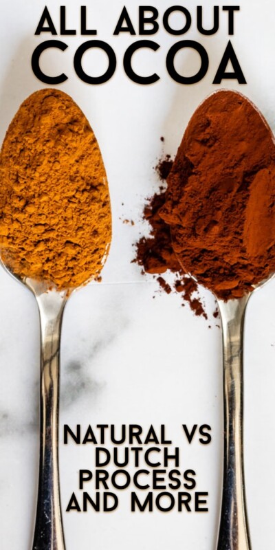 Cocoa Powder in Baking (Baking 101) - Crazy for Crust