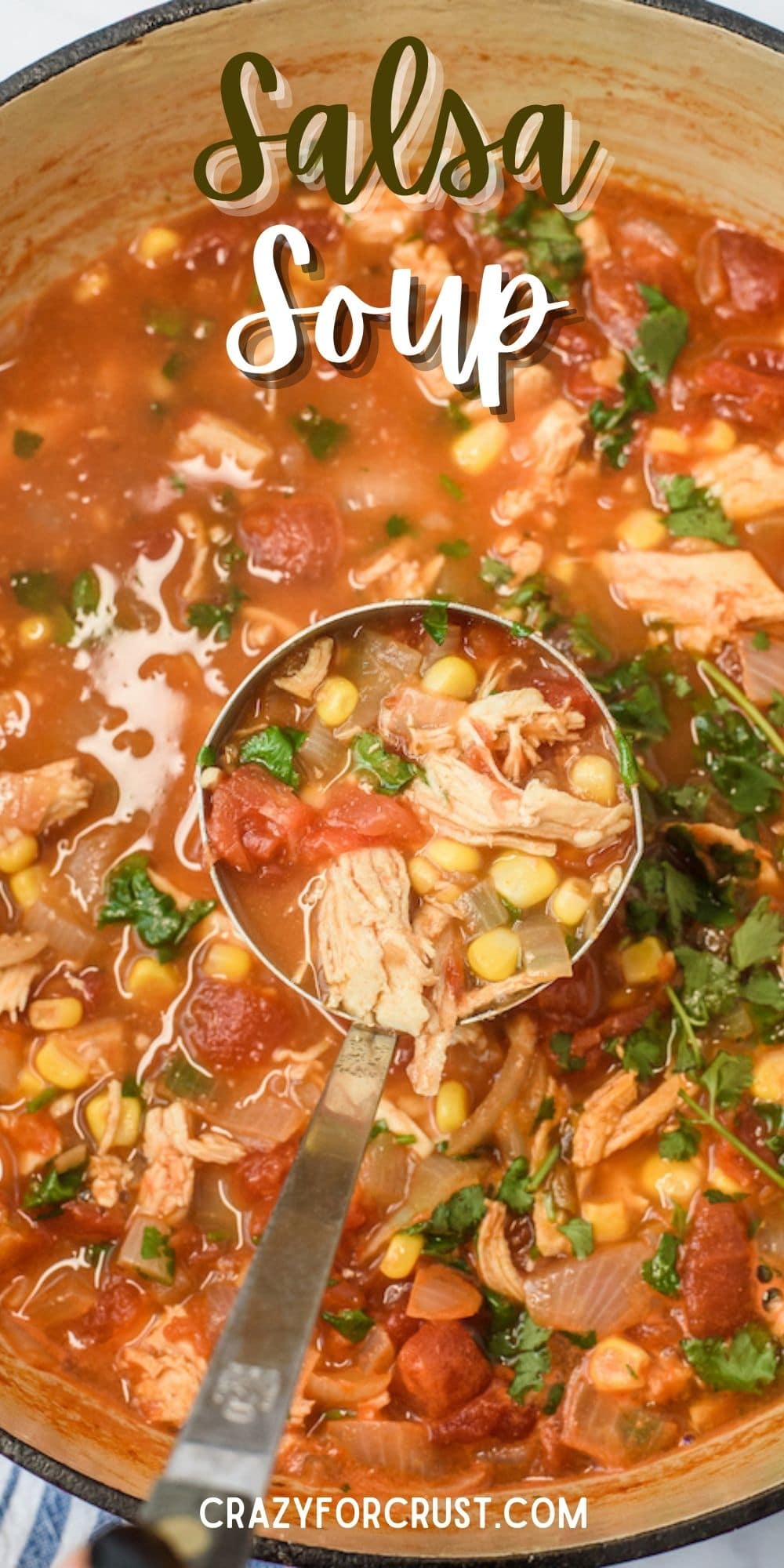 Salsa Chicken Soup (WW recipe) - Crazy for Crust