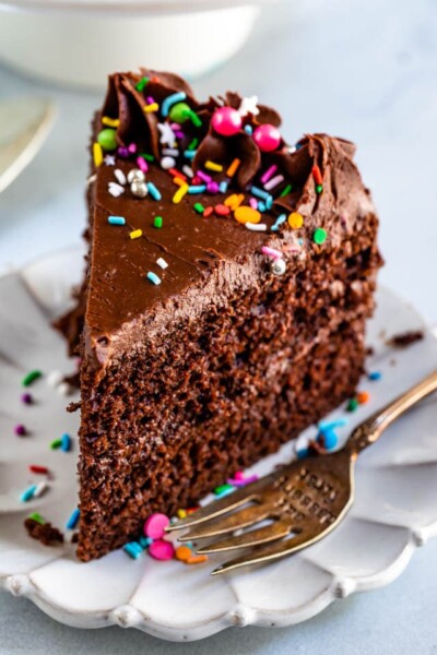 BEST Simple Chocolate Cake Recipe - Crazy for Crust