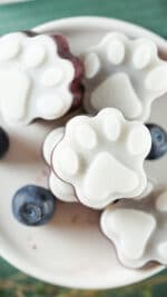 Blueberry Frozen Dog Treats Recipe - Crazy for Crust
