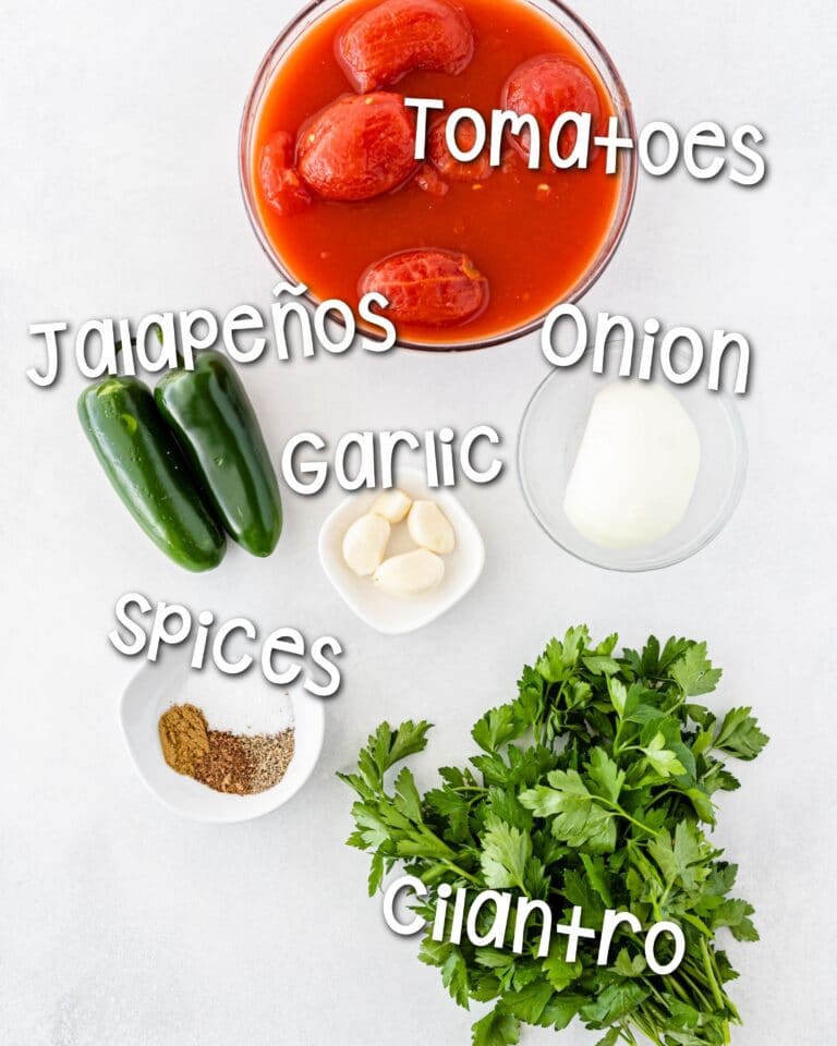 BEST Simple Salsa Recipe - Crazy for Crust