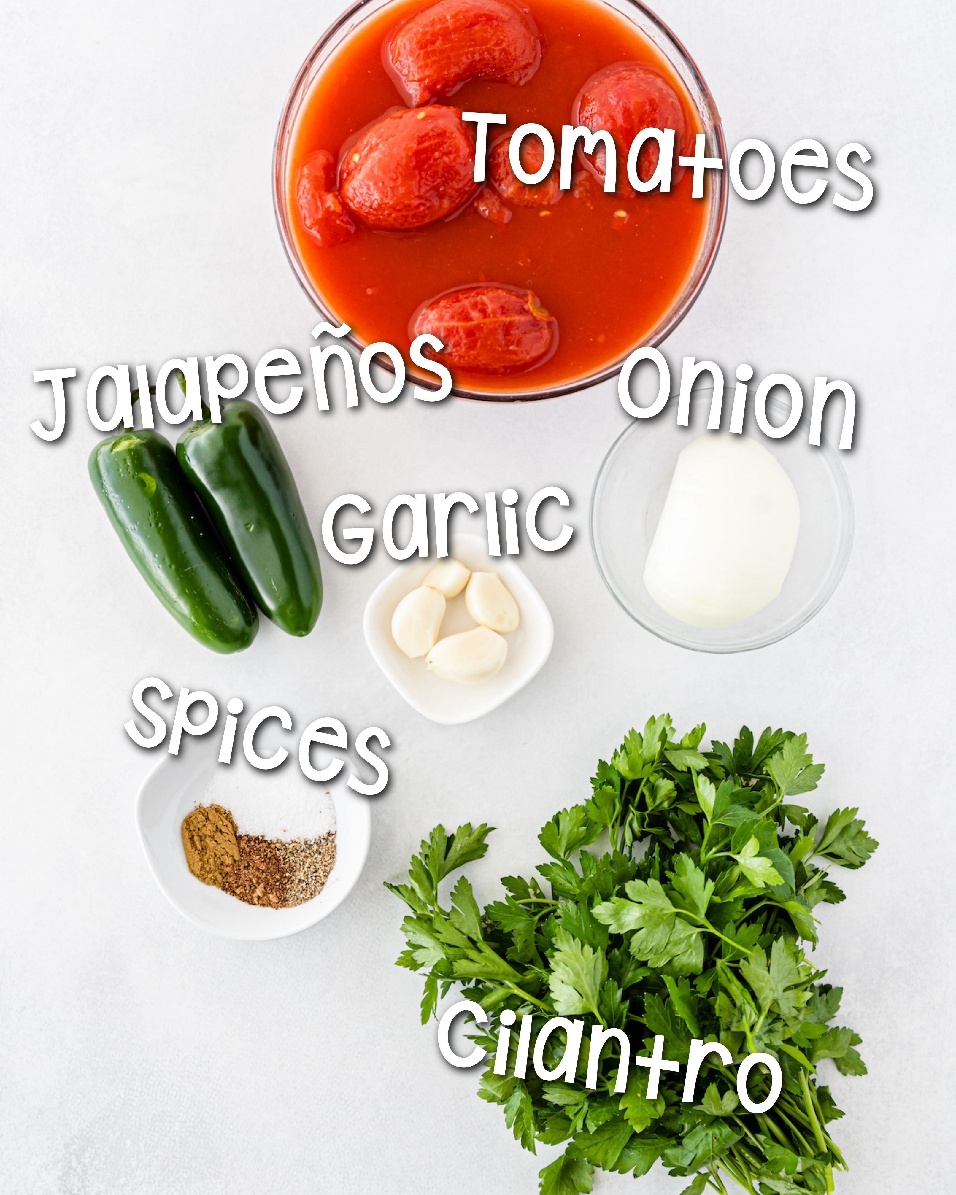 BEST Simple Salsa Recipe - Crazy for Crust