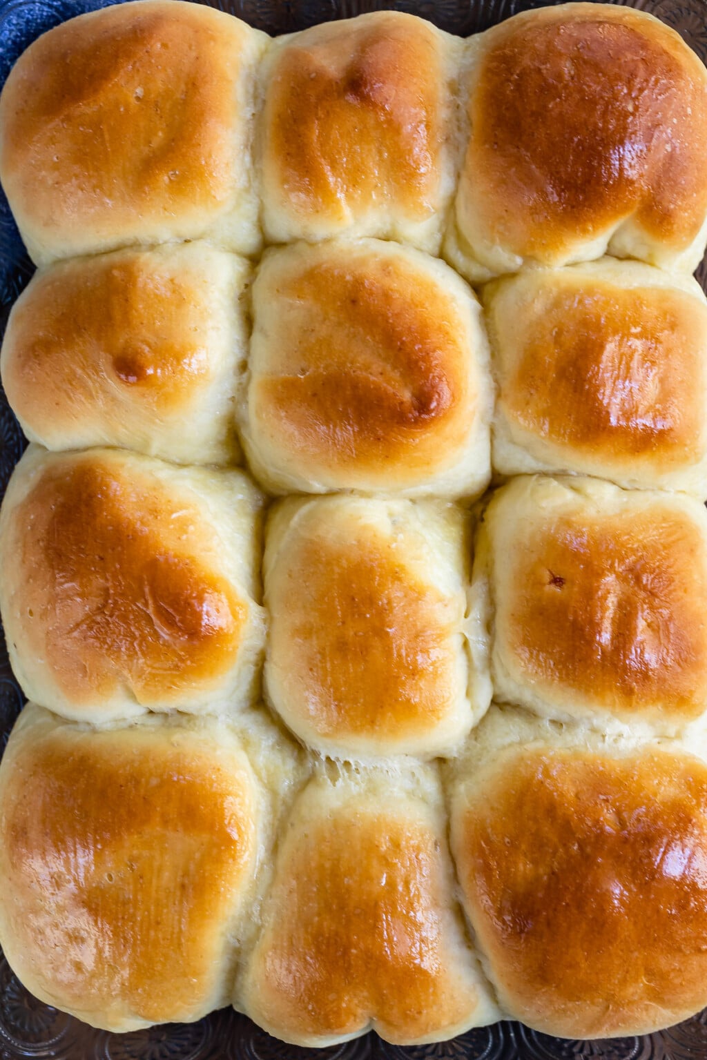 The BEST Fluffy Potato Rolls Recipe - Crazy for Crust