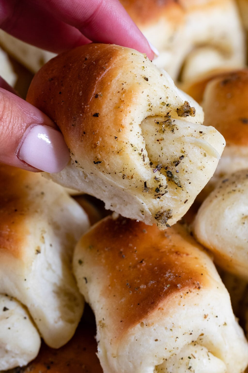 Homemade Garlic Rolls - Crazy for Crust