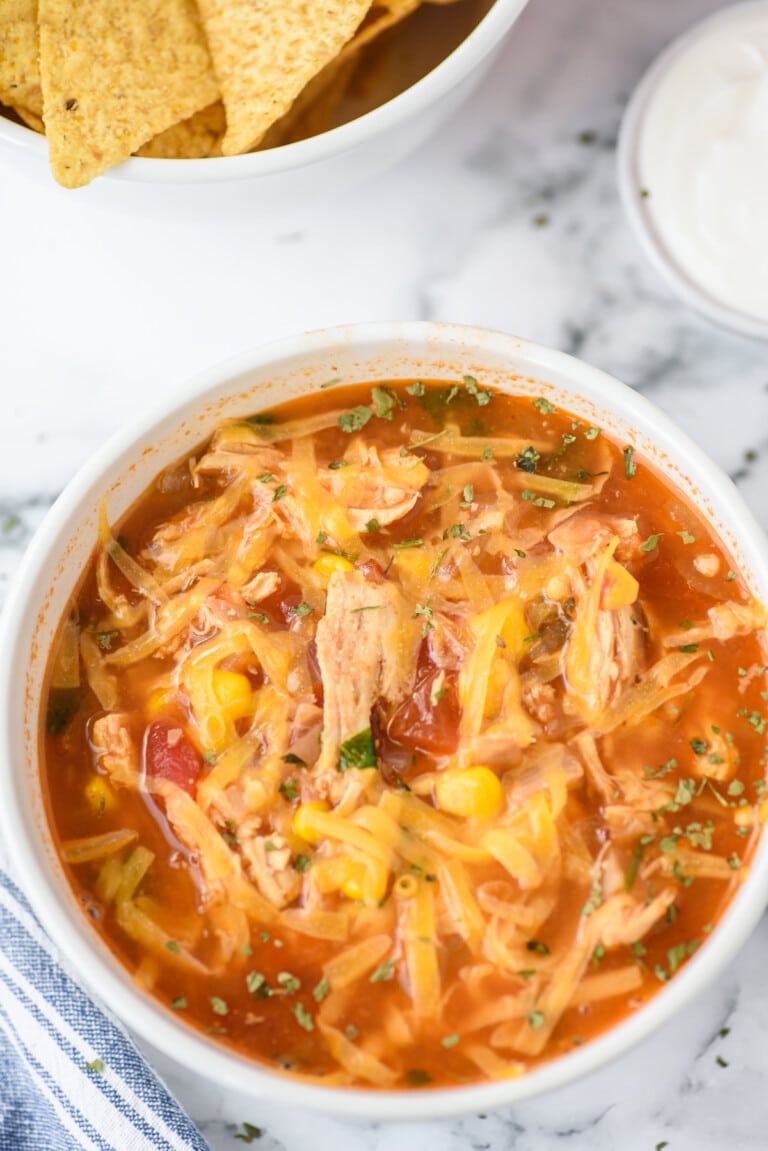 Salsa Chicken Soup (WW recipe) - Crazy for Crust