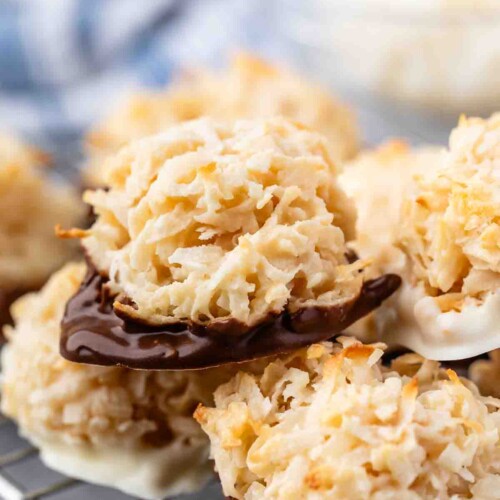 BEST Coconut Macaroon Cookies - Crazy for Crust